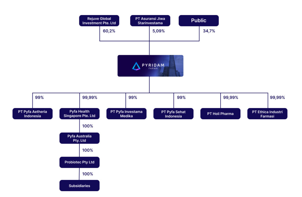 Shareholding Structure of the Company and Subsidiaries - Pyfa Group